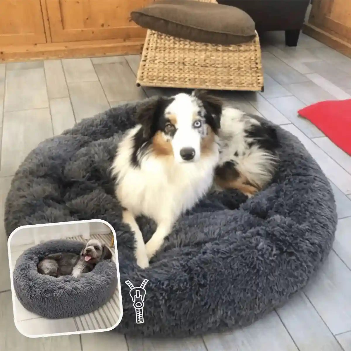 Coussin Anti Stress Chien | PachaBed™ - Ultra Doux & Déhoussable ...